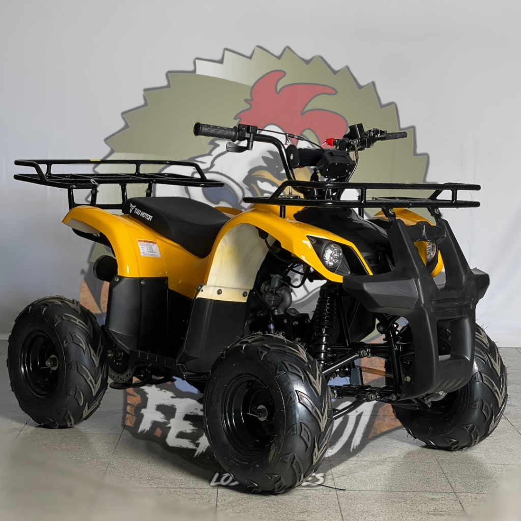 Cuatrimoto hummer 110cc tao motor – Ferremot Los Ángeles