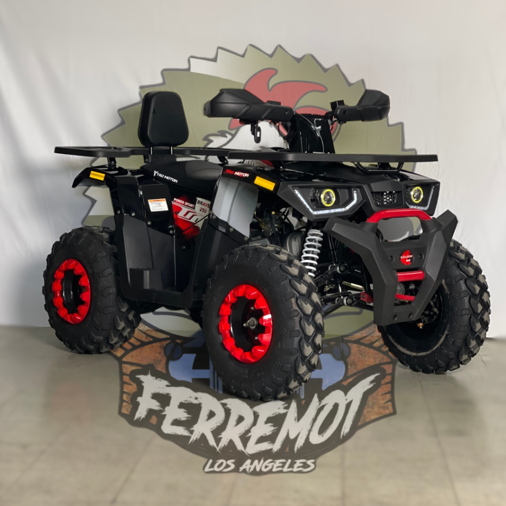 Cuatrimoto hunter 250cc tao motor – Ferremot Los Ángeles