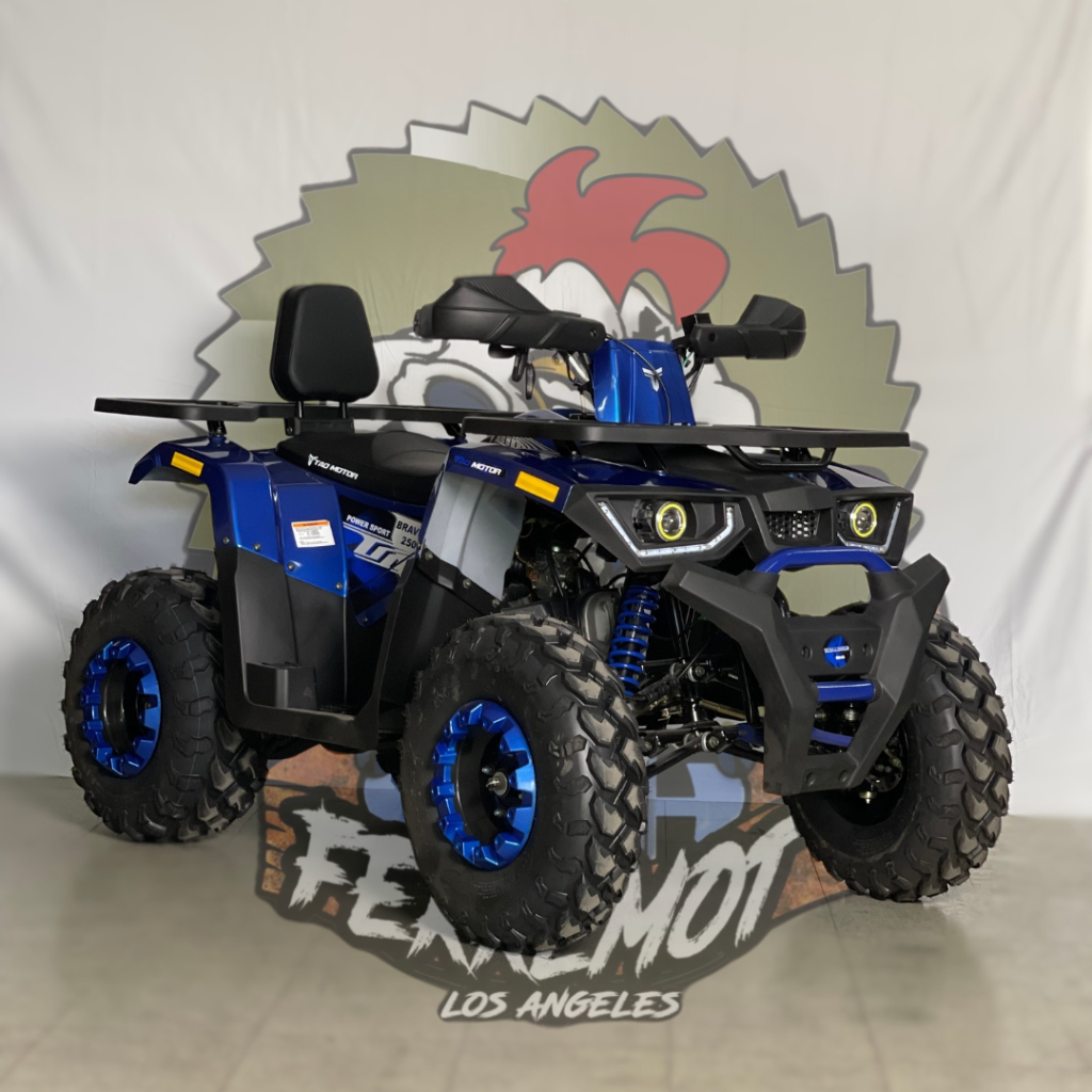Cuatrimoto hunter 250cc tao motor – Ferremot Los Ángeles