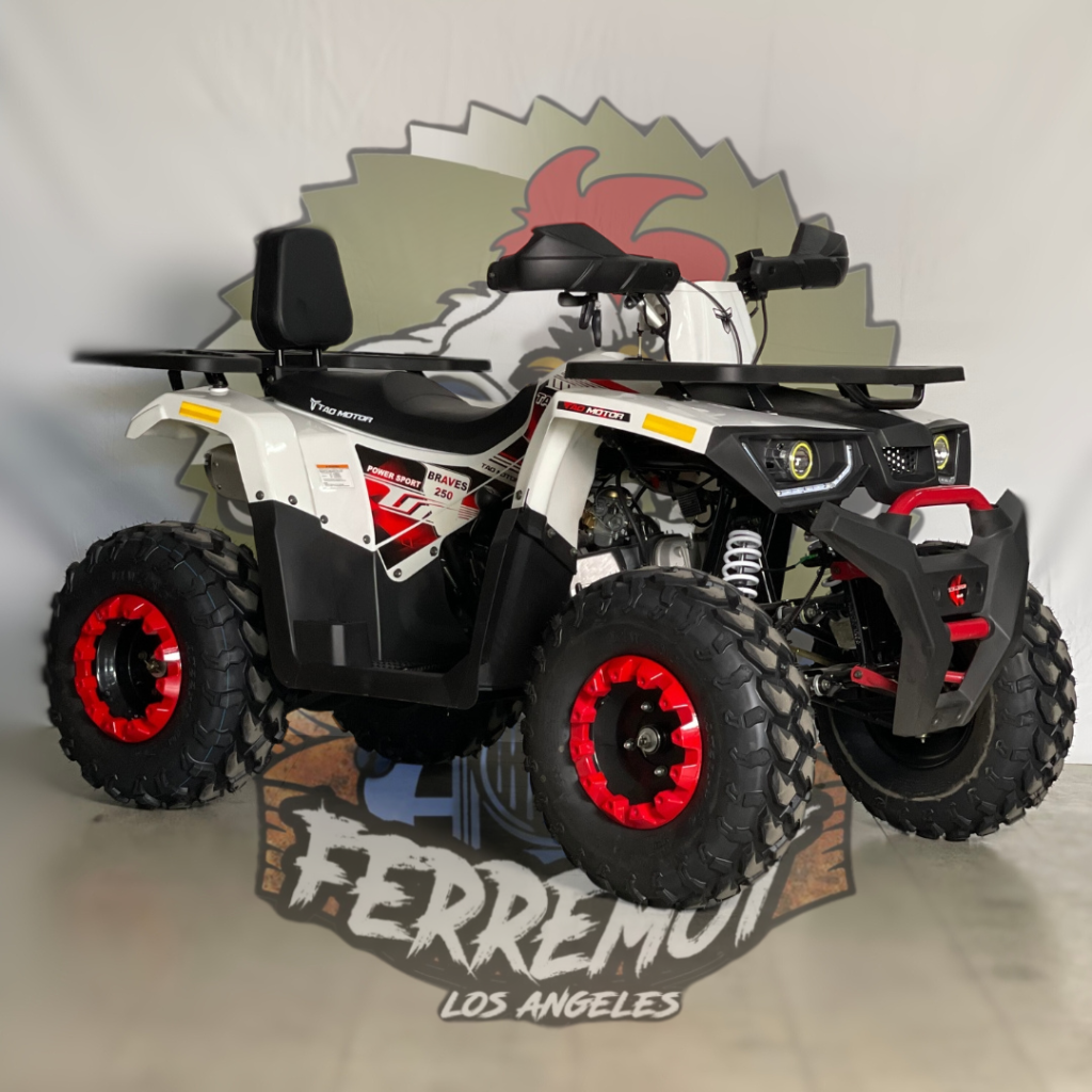 Cuatrimoto hunter 250cc tao motor – Ferremot Los Ángeles