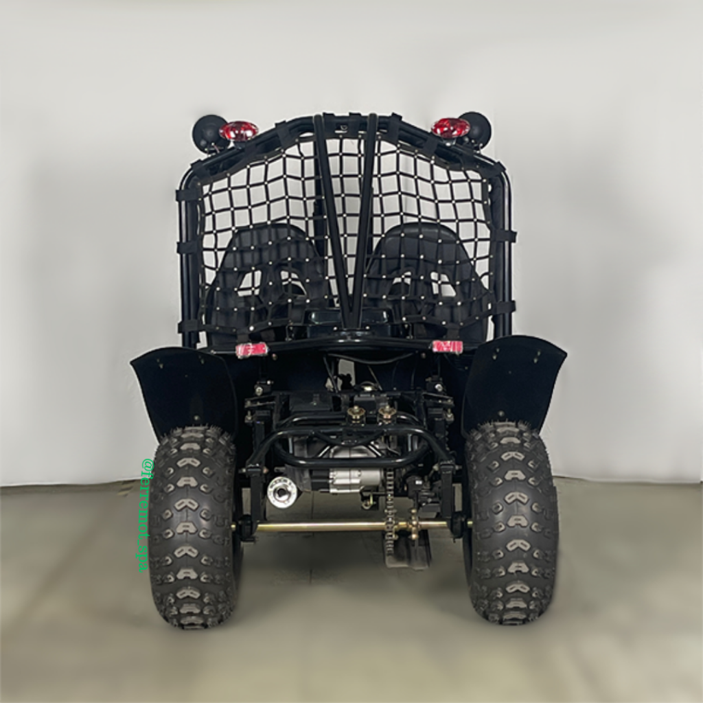 Buggy 200cc tao motor – Ferremot Los Ángeles