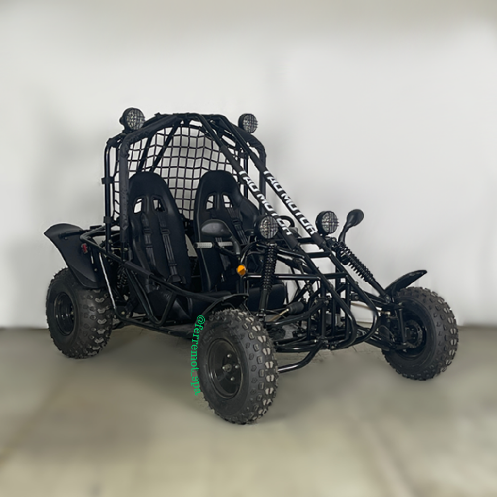 Buggy 200cc tao motor – Ferremot Los Ángeles